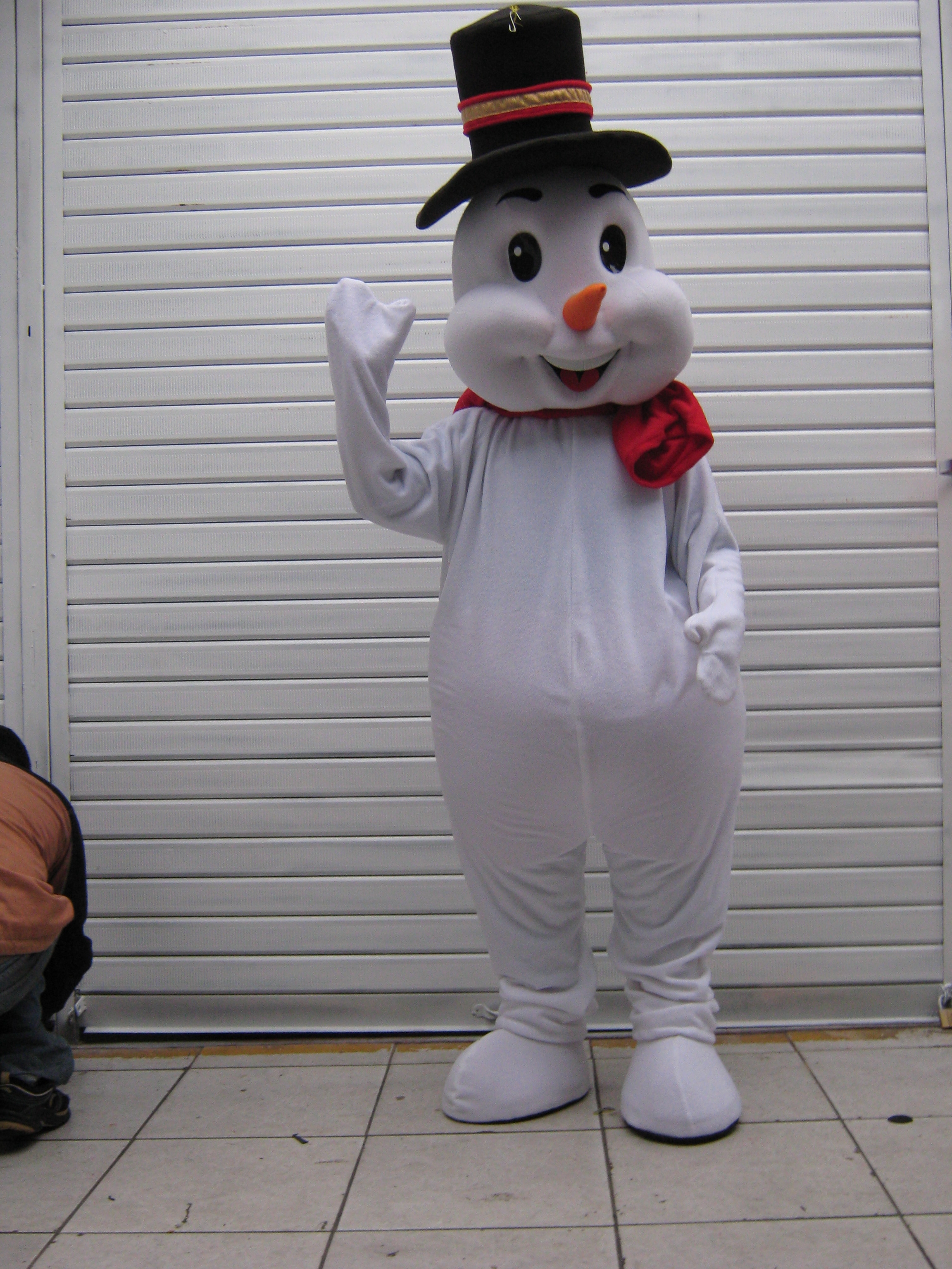 Mascot Costumes, Character Costumes, Best Quality, Best Delivery, Best ...